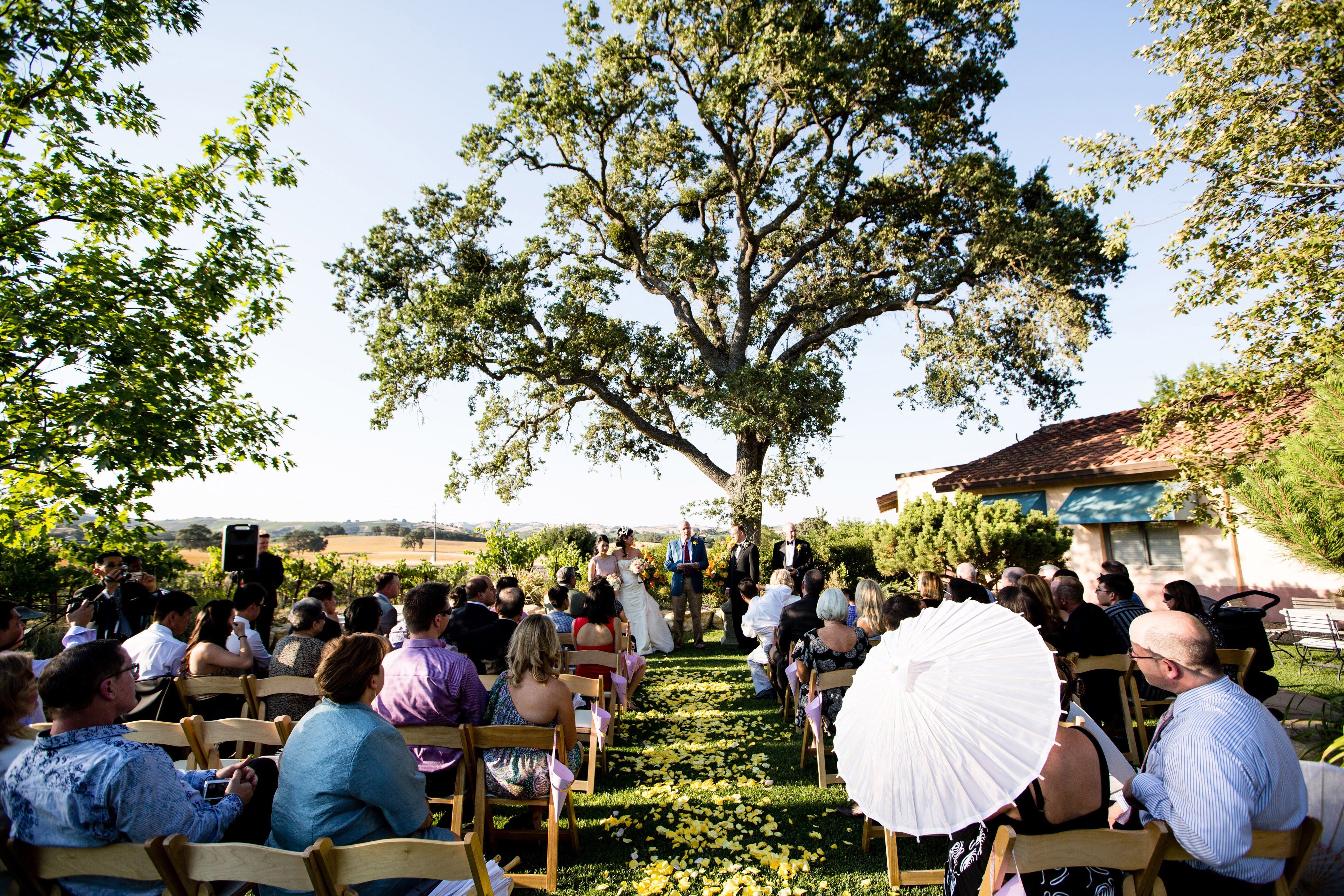 Outdoor Wedding Ceremony