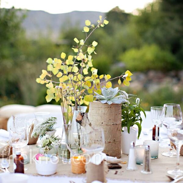 Aspen Tree Centerpieces