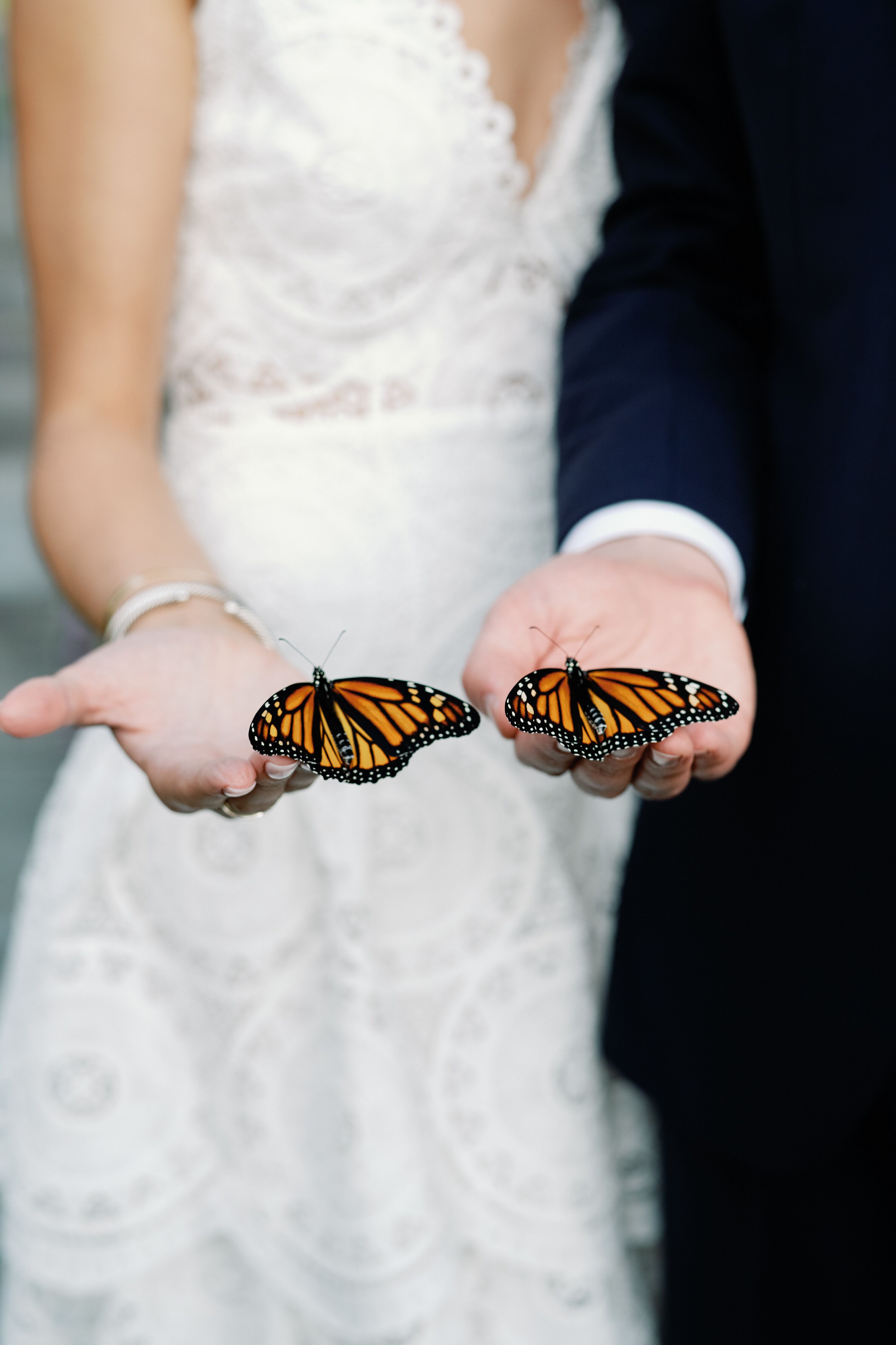 Bride and Groom Holding Monarch Butterflies