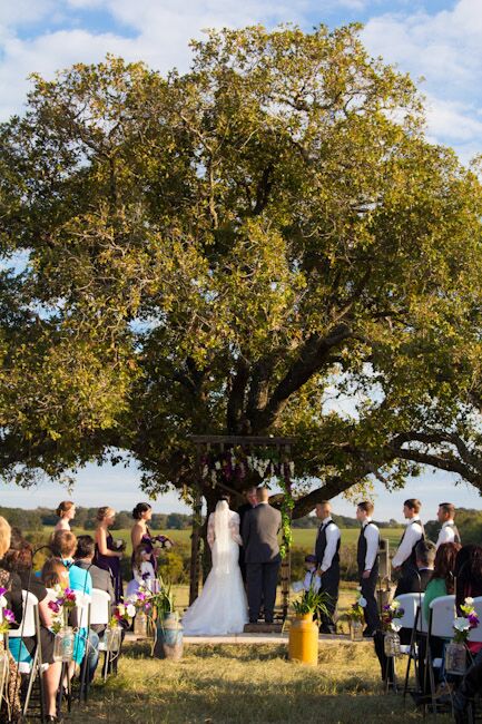 Field Ceremony Under Big Tree