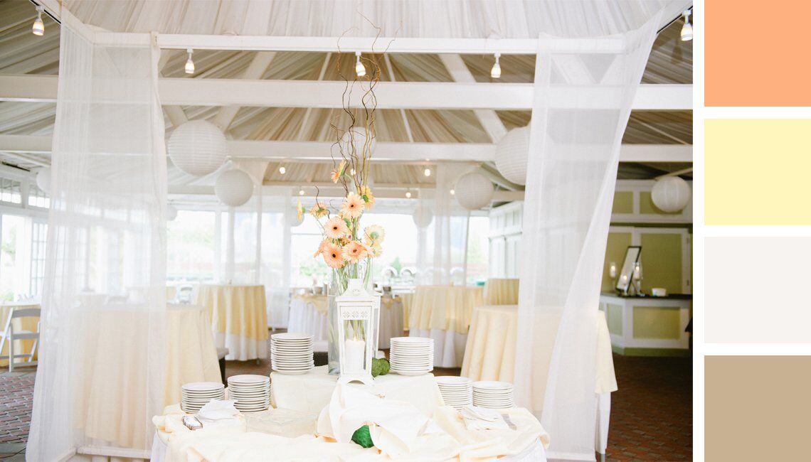 Peach, Yellow, Beige, Taupe Color Palette