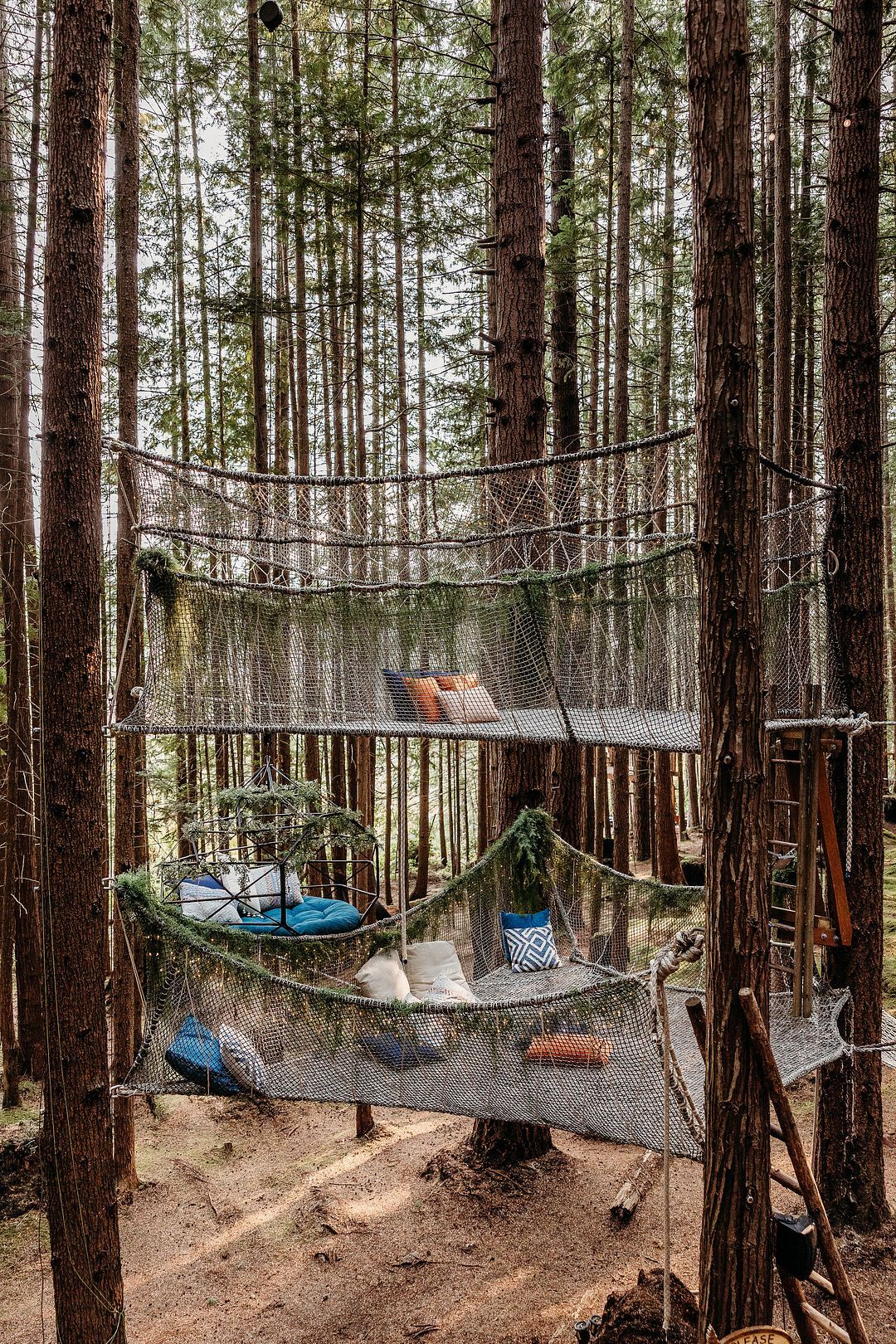Hammock-Like Dreamnets in Different Layers in Trees With Pillows