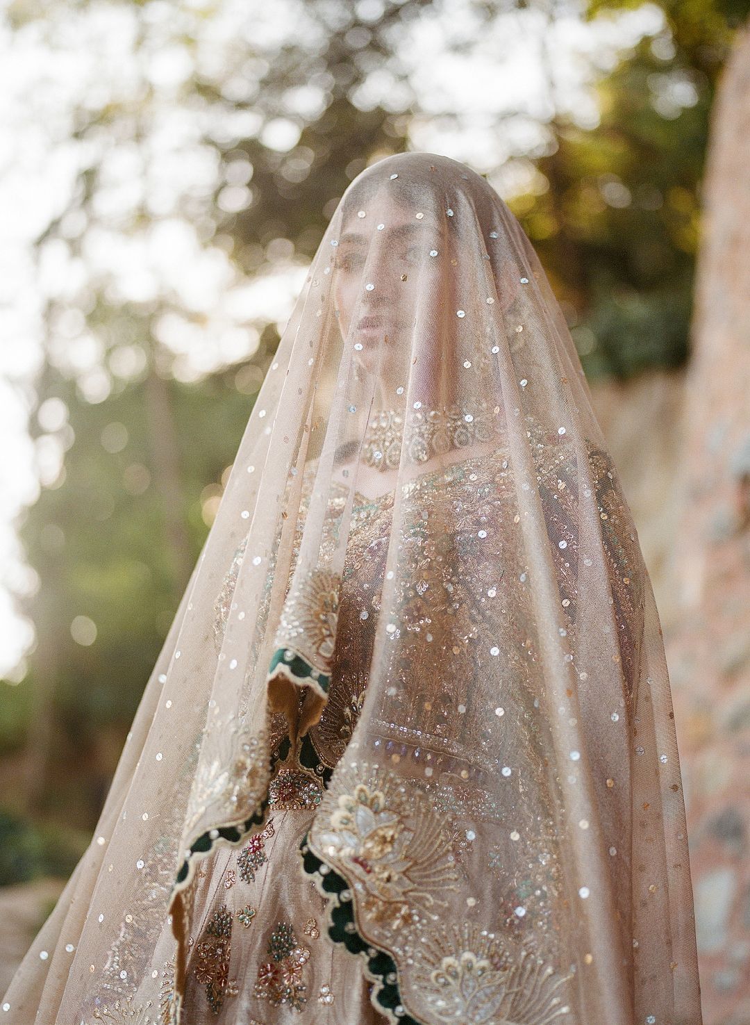 Bride Wearing a Luxurious Sequined and Embroidered Veil