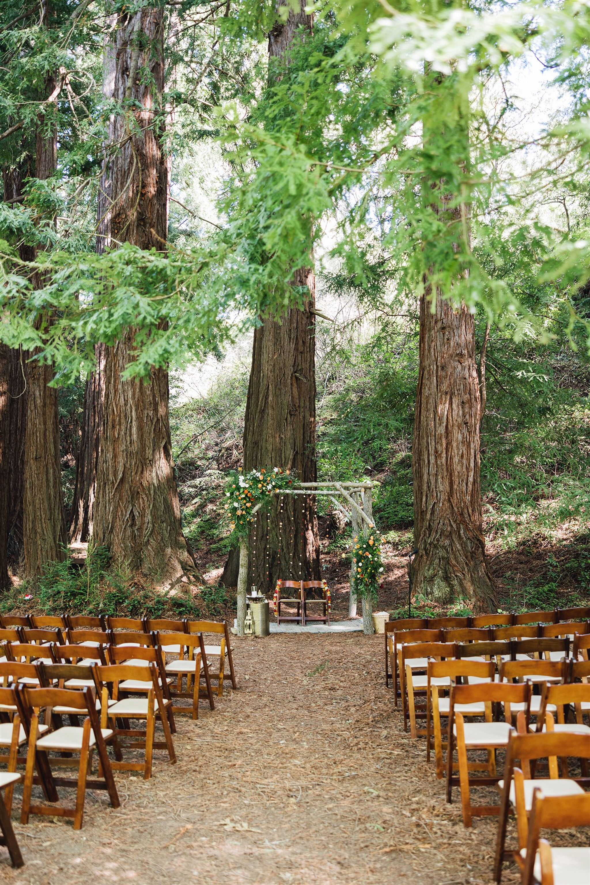 Outdoor Ceremony Under Redwood Trees With Chuppah-Mandap Arch