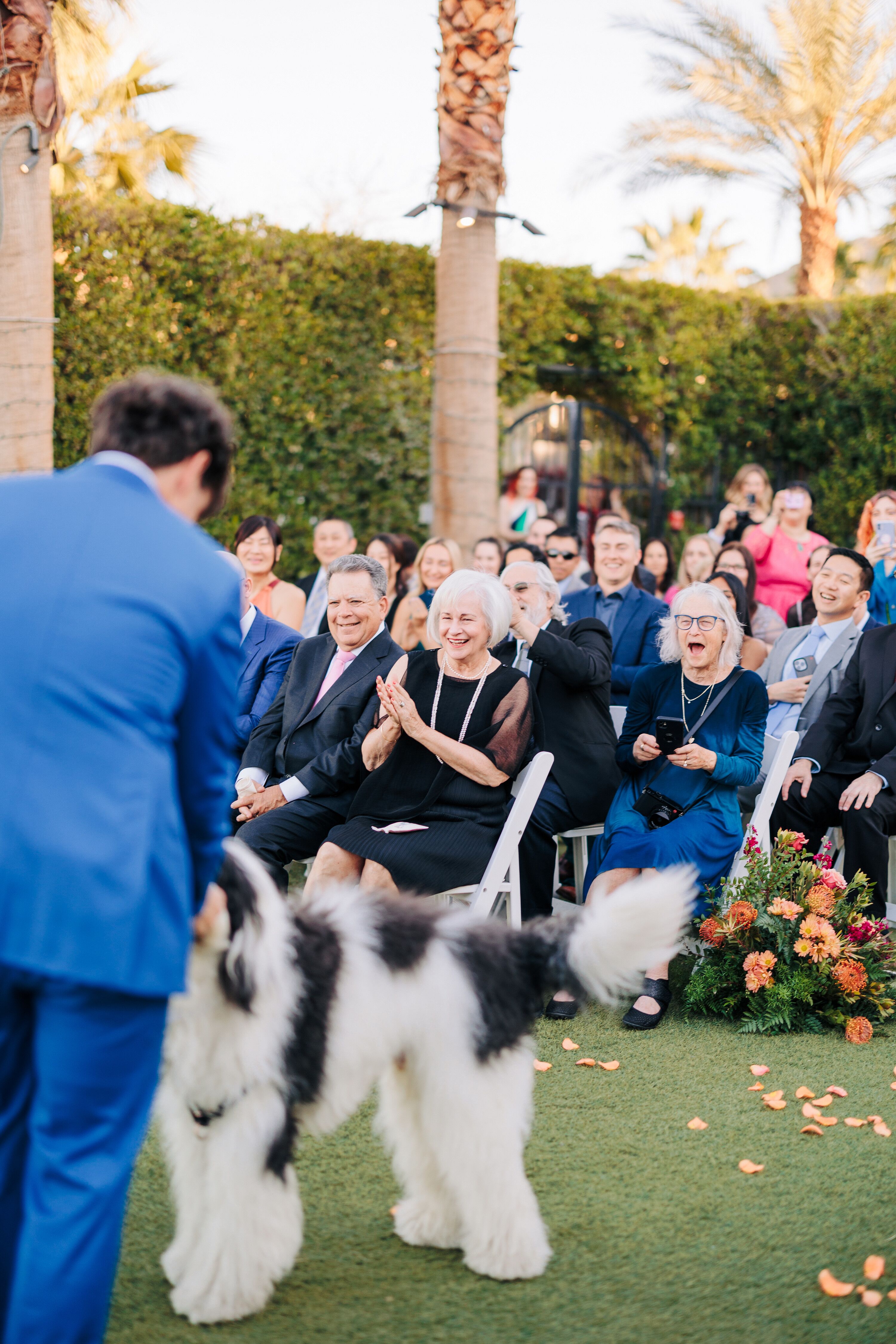 Guests Clapping and Smiling as Couple's Dog Stands at Altar With Grooms