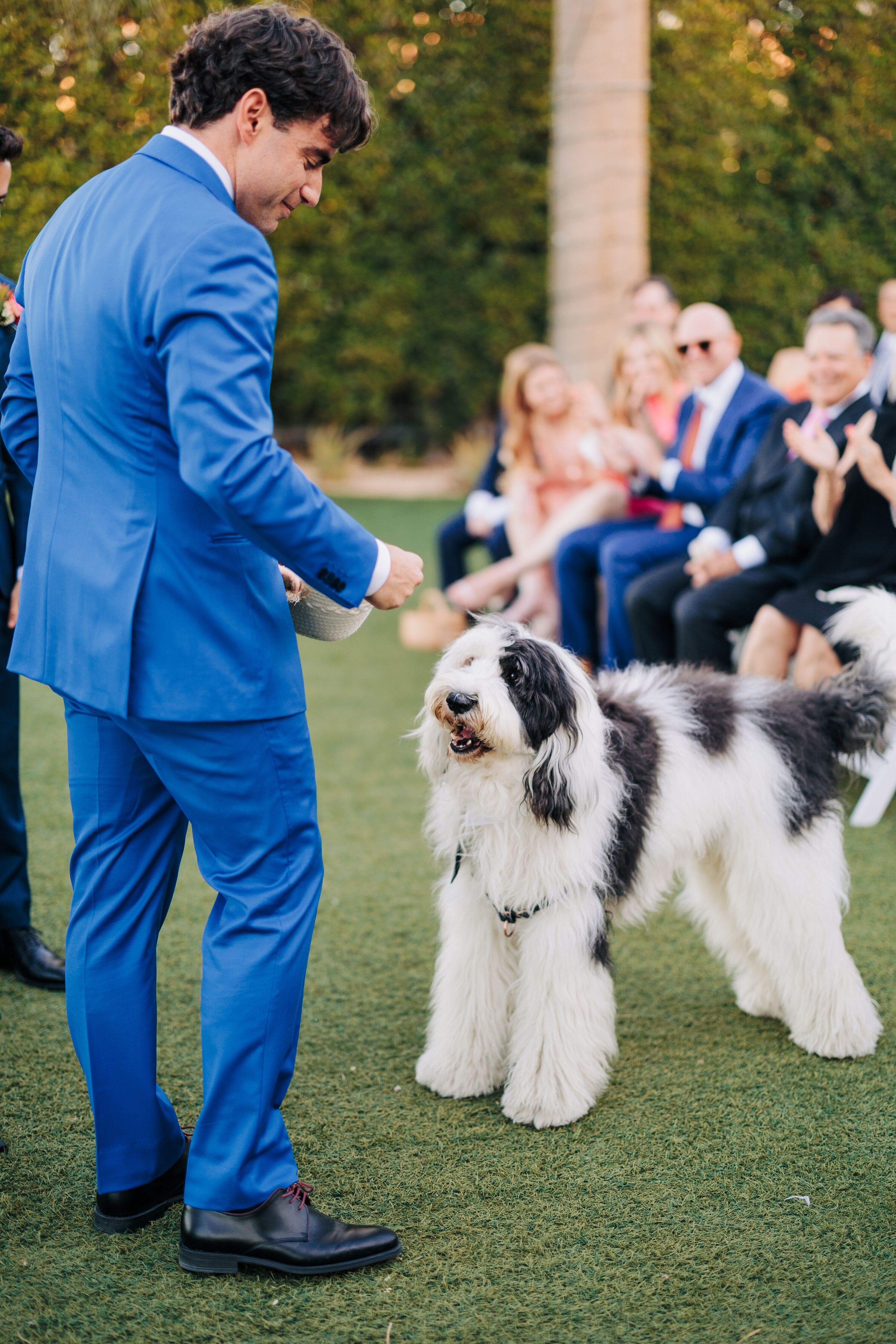 Groom in Bright Blue Suit and His Dog at Desert Garden Altar