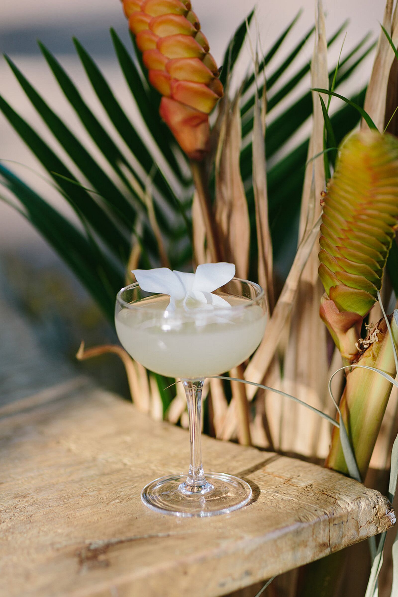 Cocktail in Couple Glass With Live White Flower Garnish at Hawaiian ...