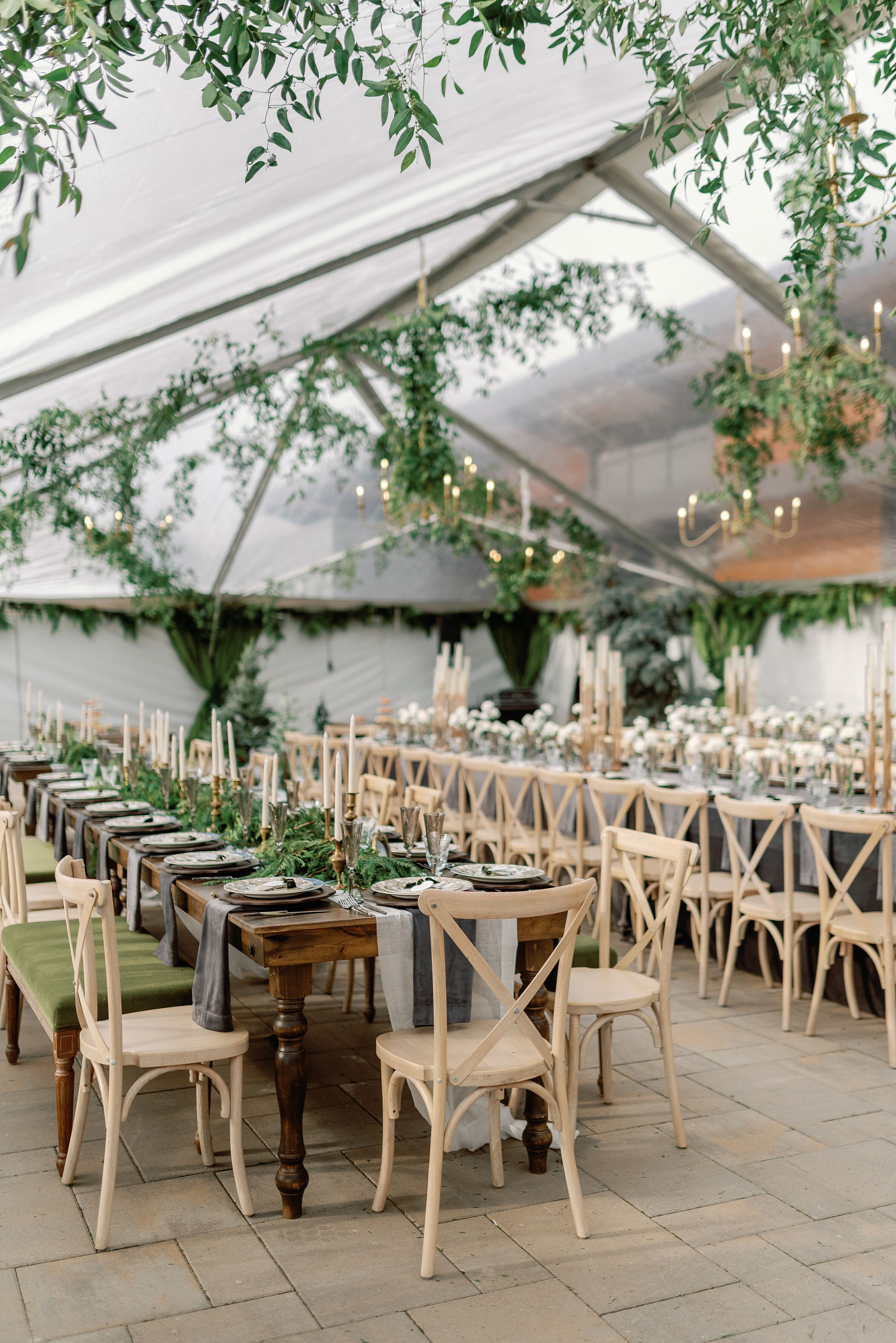 Tented Reception With Hanging Ivy Greenery, Chandeliers and Gold ...