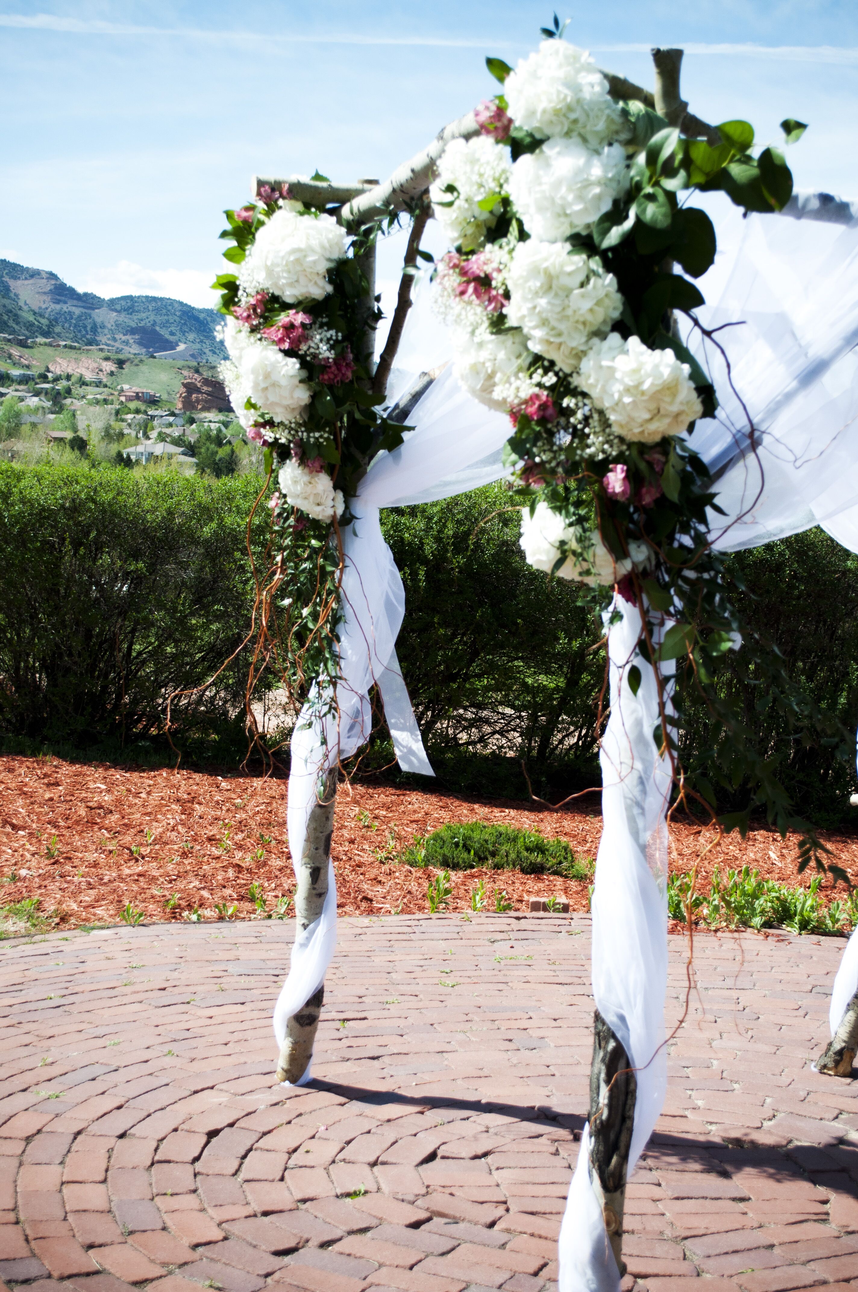Elegant Aspen Tree Chuppah