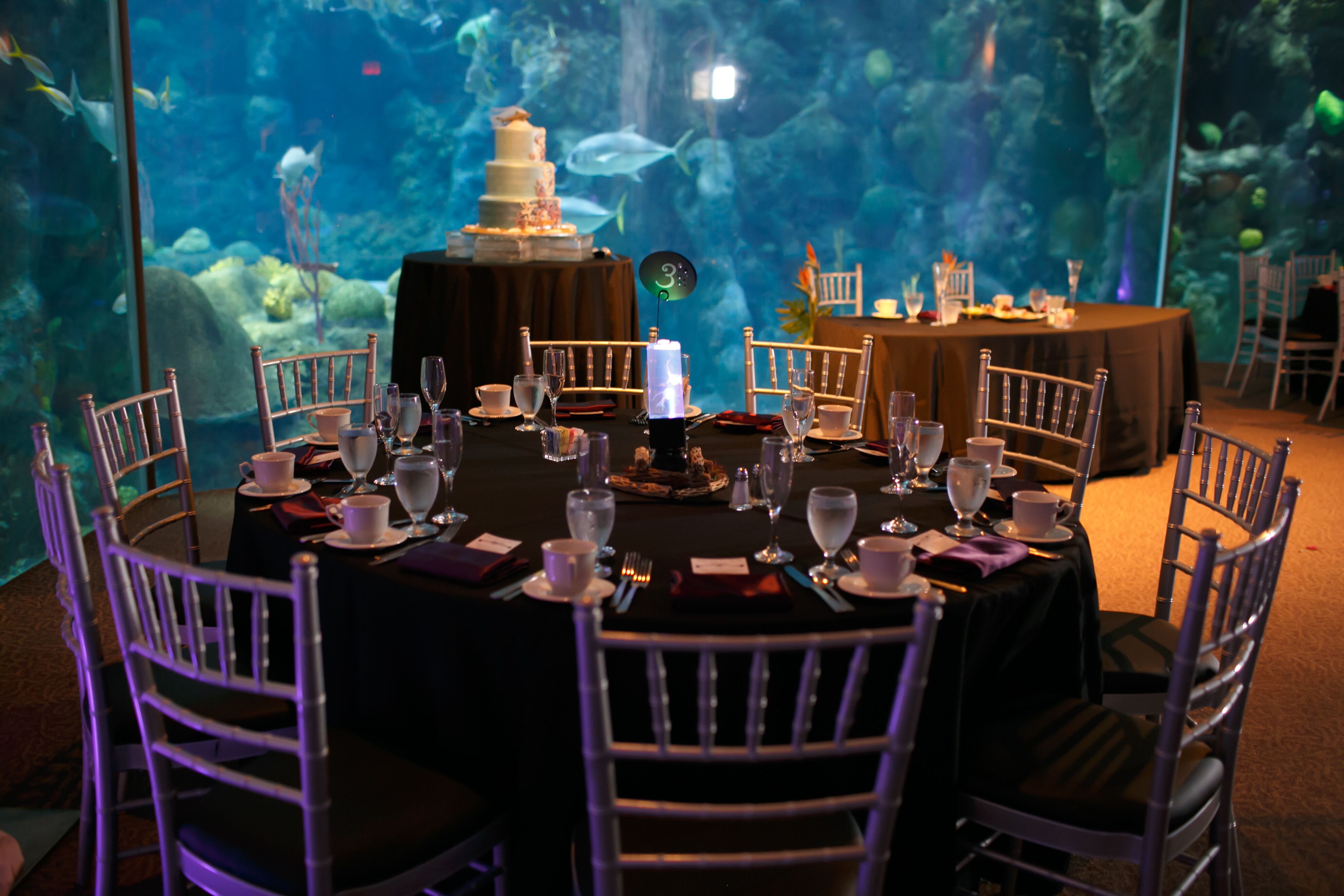 Underwater Themed Reception Decor with Purple Lighting