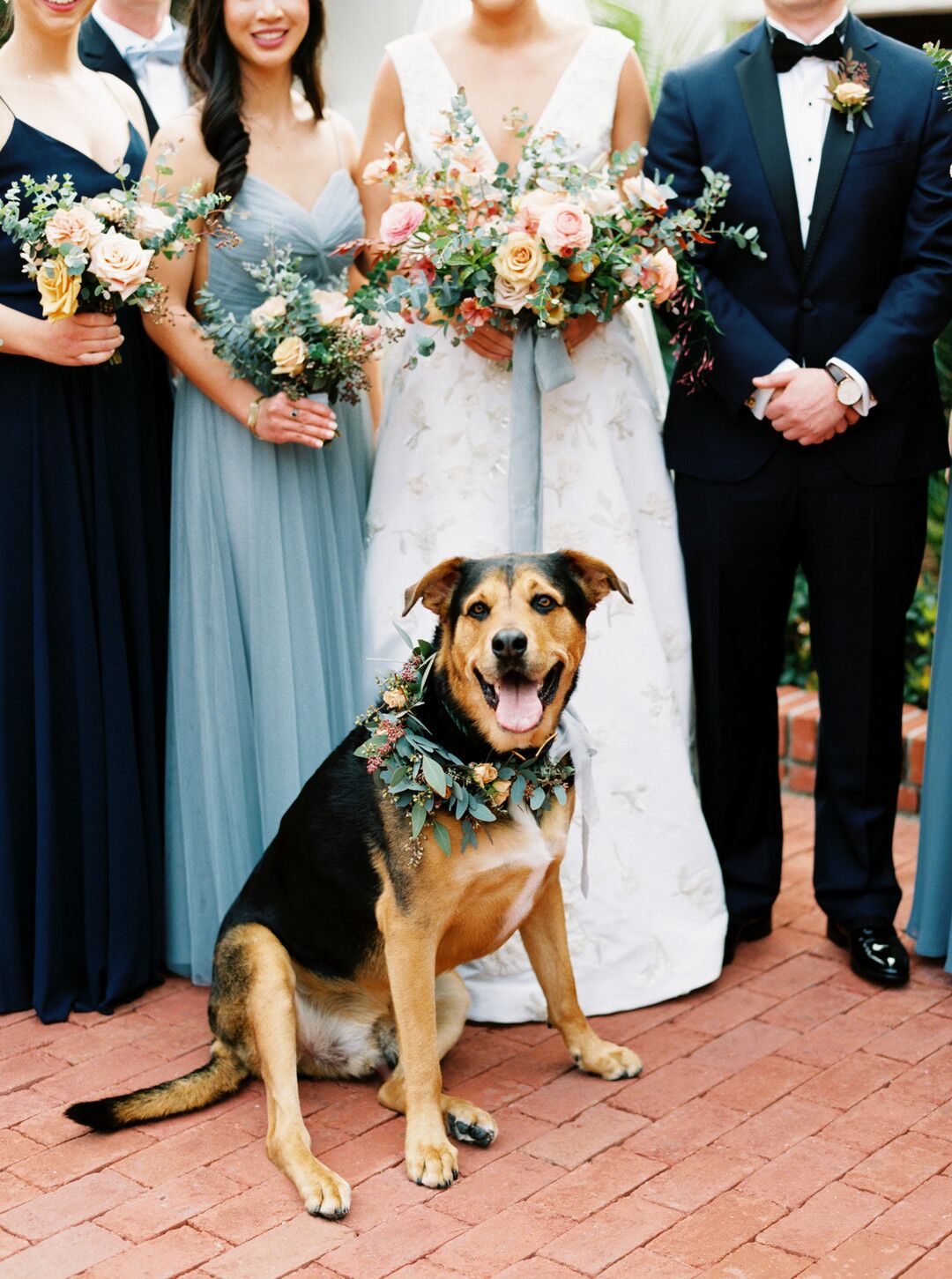 Classic Wedding Party with Dog in Floral Collar