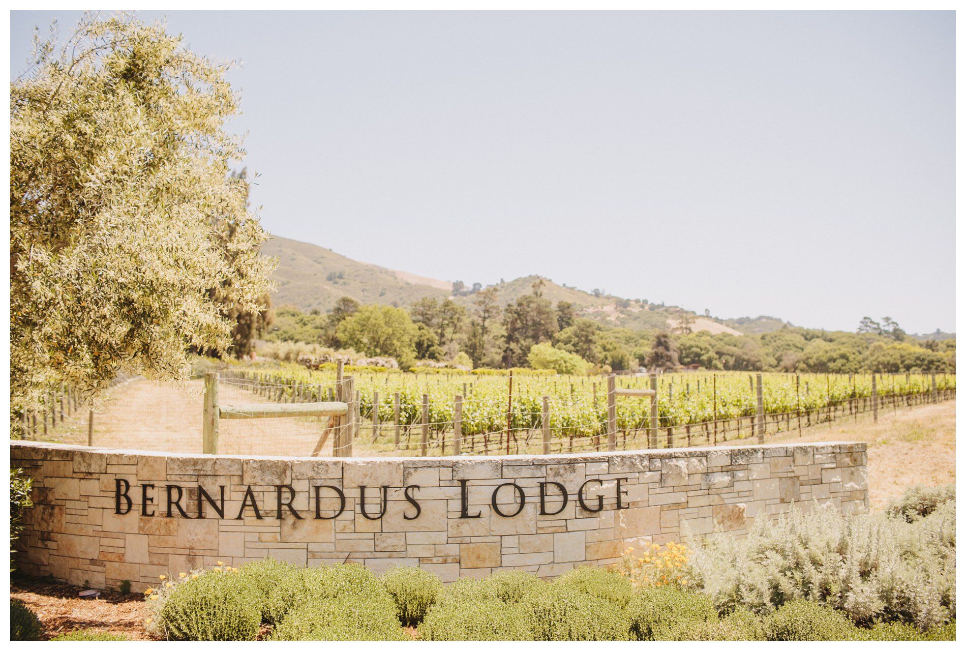 The Entrance to the Bernardus Lodge