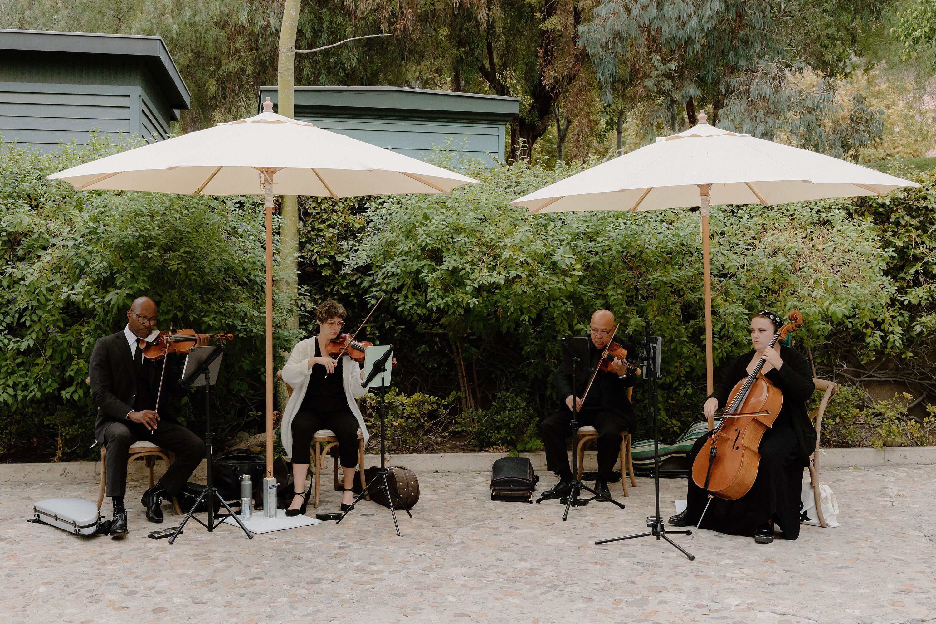 String Quartet Playing Underneath Umbrellas at Garden Venue