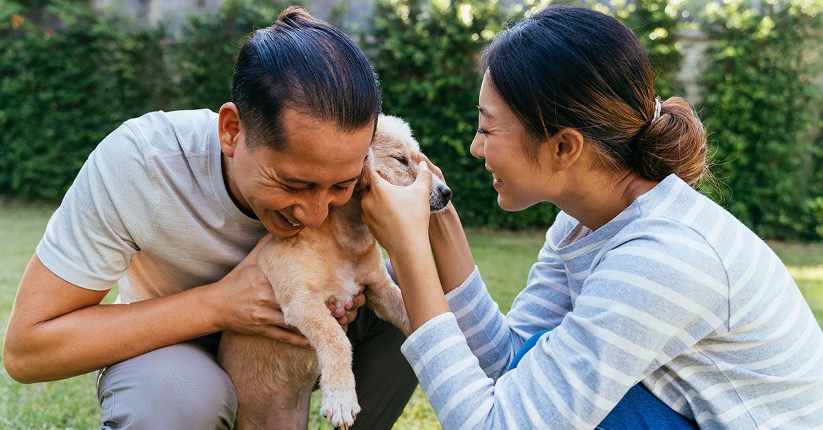 150 Of The Best Dog Names for Your New Best Friend