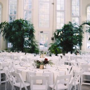 Piper Palm House