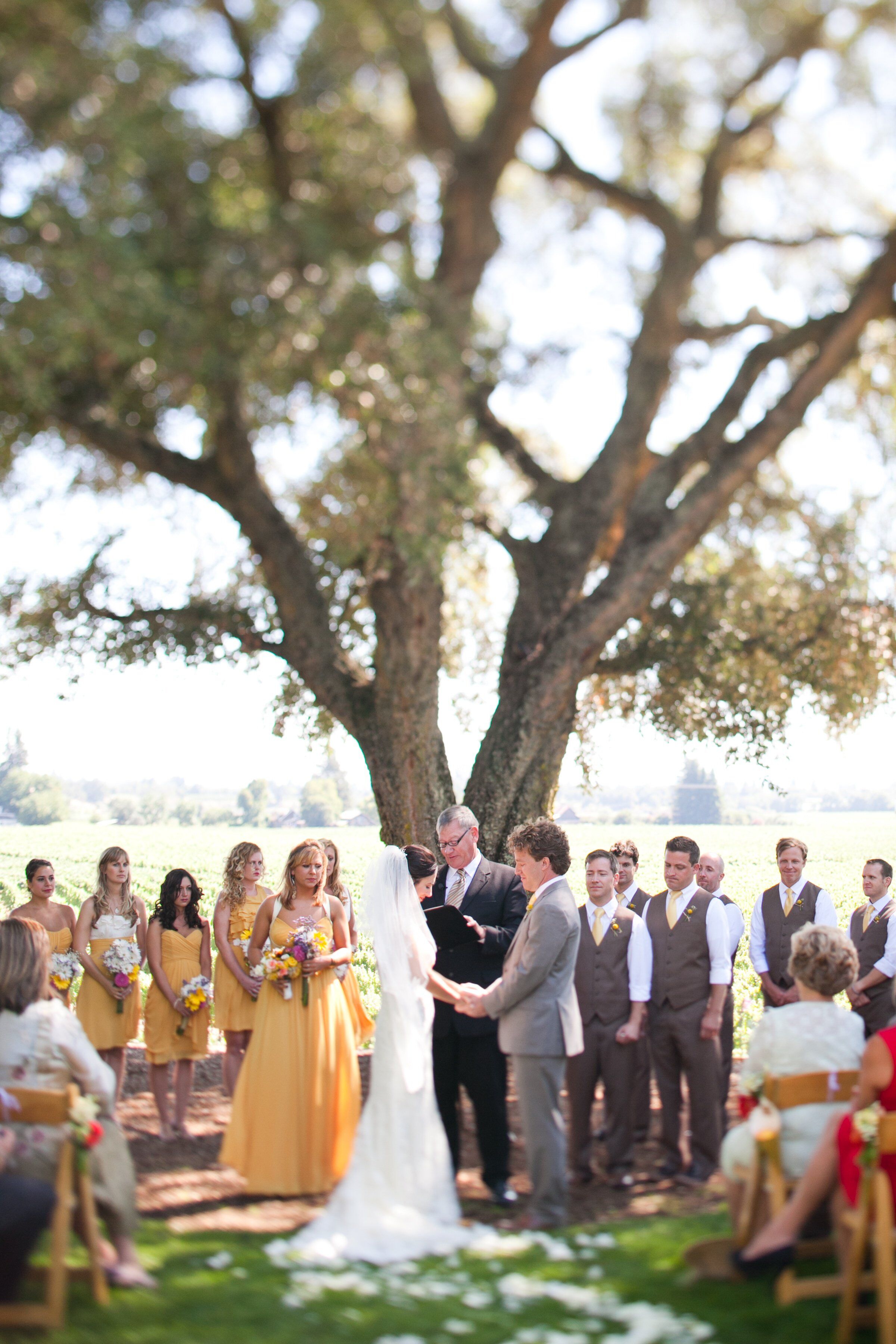Outdoor Wedding Ceremony